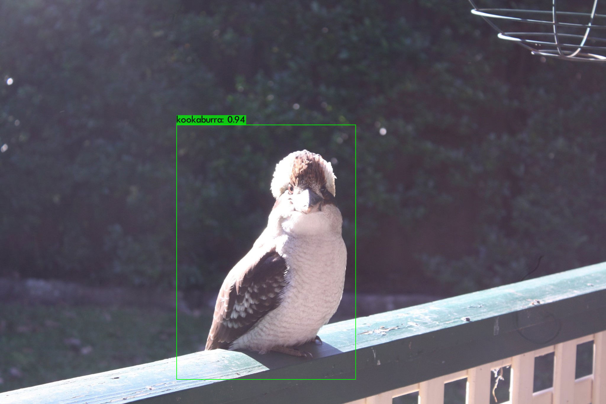 Building a bird species detector using OpenCV and YOLO V4 Darknet Application – Trending Thoughts